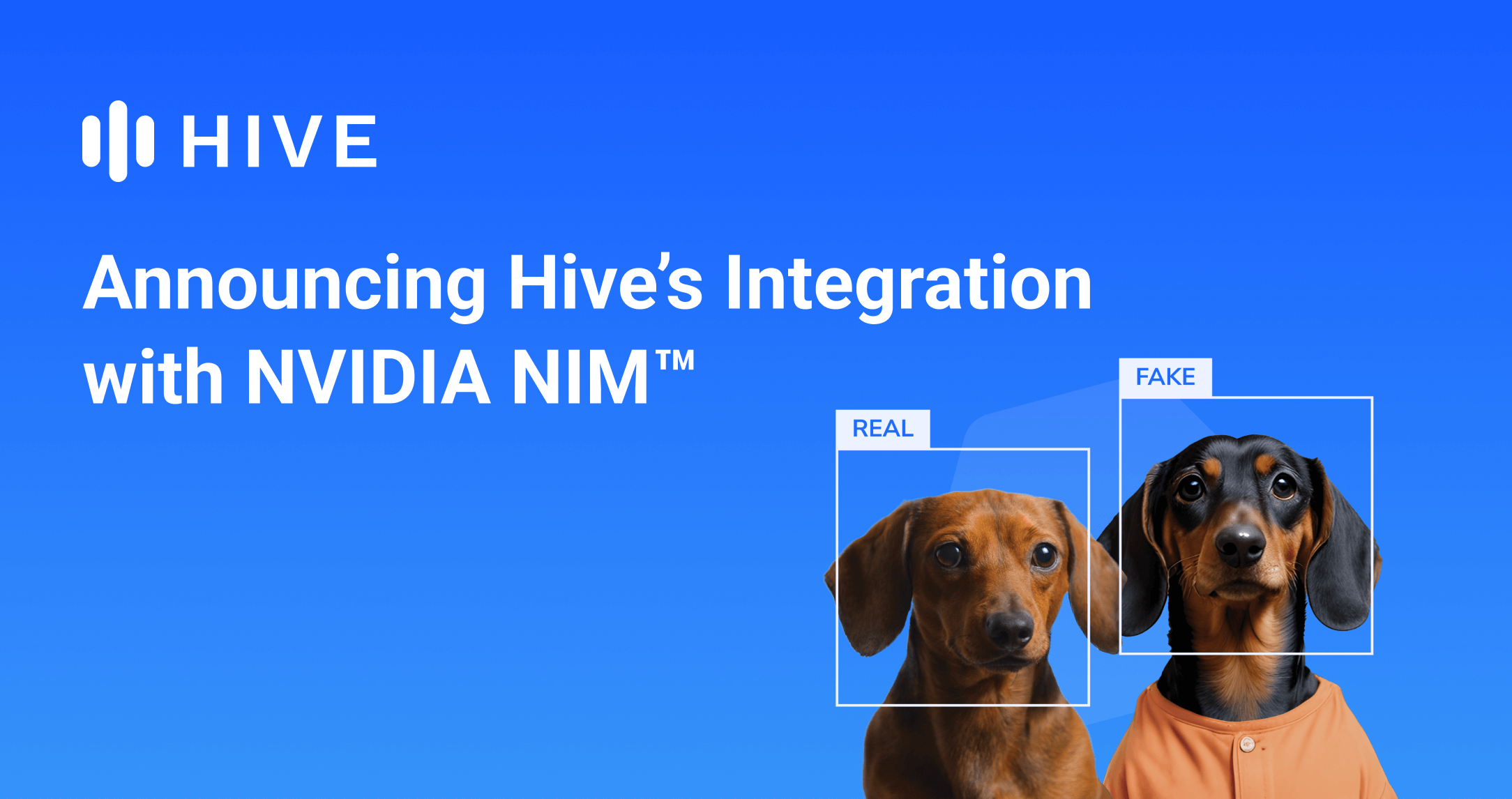 Announcing Hive’s Integration with NVIDIA NIM – Hive